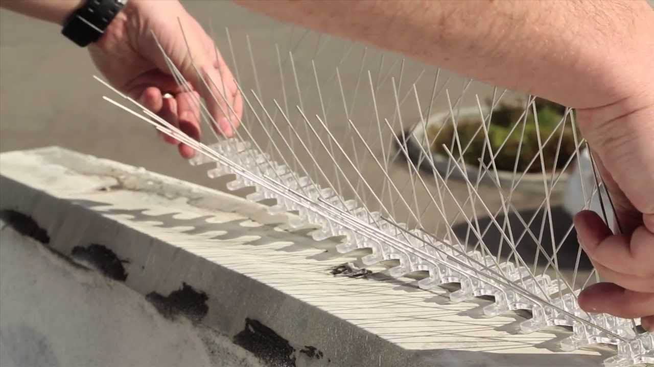 * Anti Bird Spikes - Non Lethal & Environmentally Friendly | Buy Online